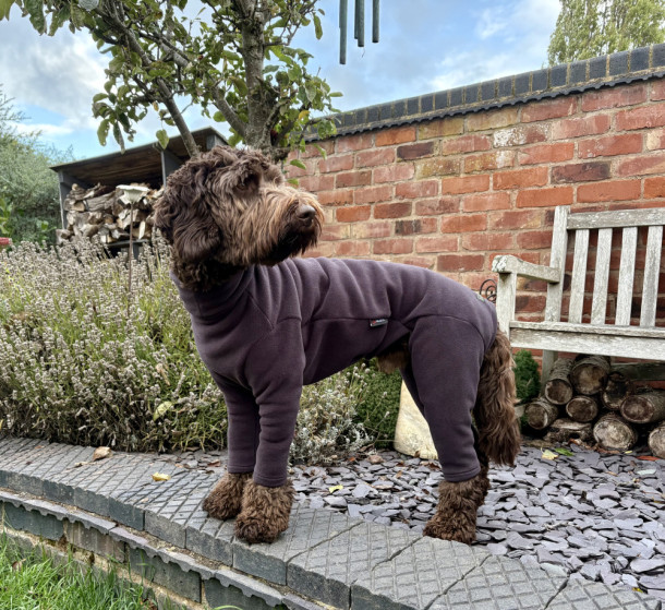 Polartec Fleece Dog Suit - Rainproof, Breathable, Warm and Washable ...